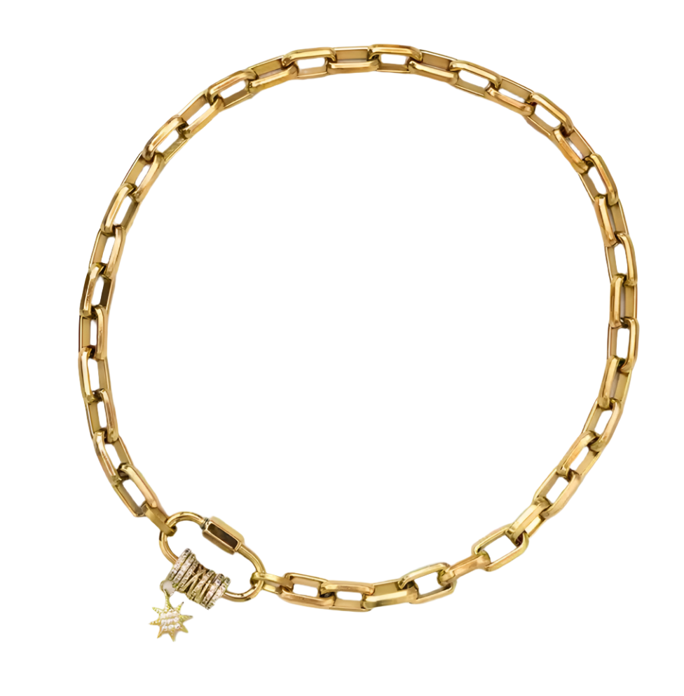 Minka Carabineer Necklace – Jinxie